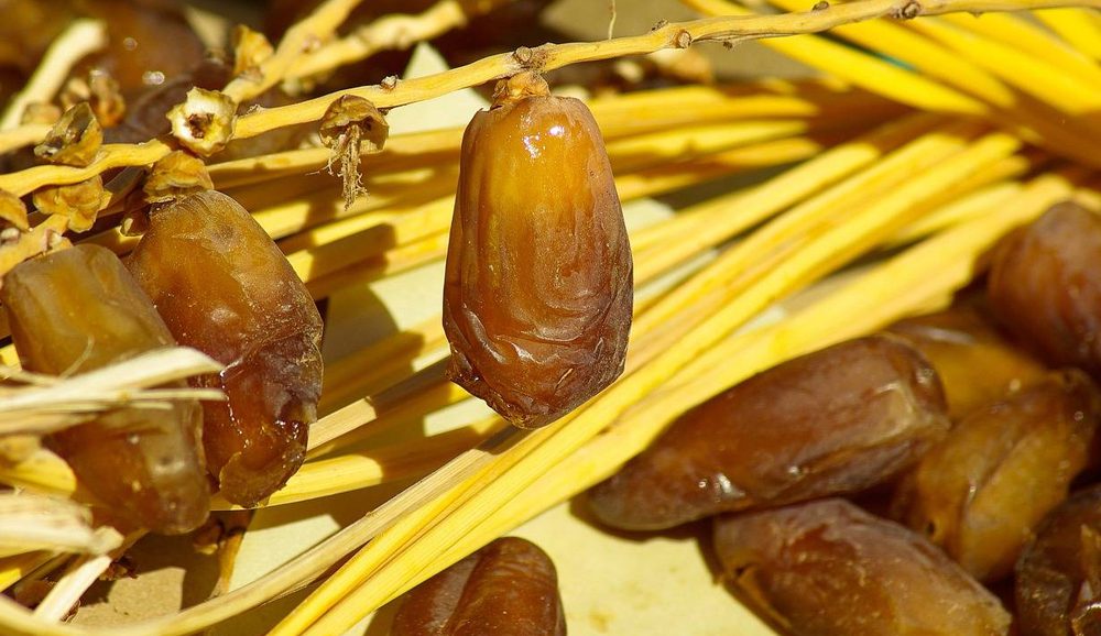 Tunisie : Les dattes, deuxième produit agricole d’exportation après l ...