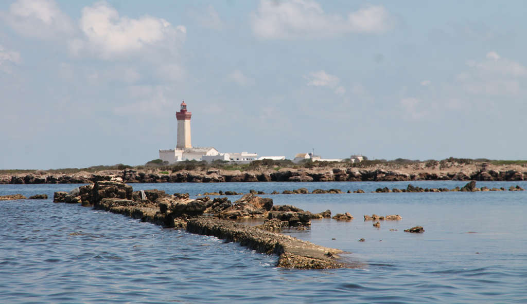 La Tunisie lance sa première réserve marine dans les îles Kuriat – La ...