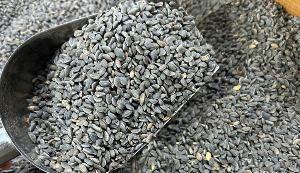 A l’occasion du Mouled : Le «zgougou» sur un nuage – La Presse de Tunisie