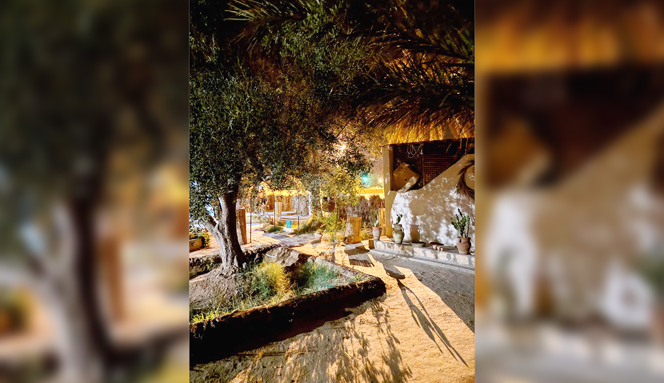 Métlaoui : Quand l’écotourisme redonne vie aux oasis de montagne – La ...