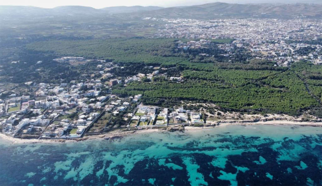 Ras Jebel se réinvente : régénération, projets urbains et environnement ...